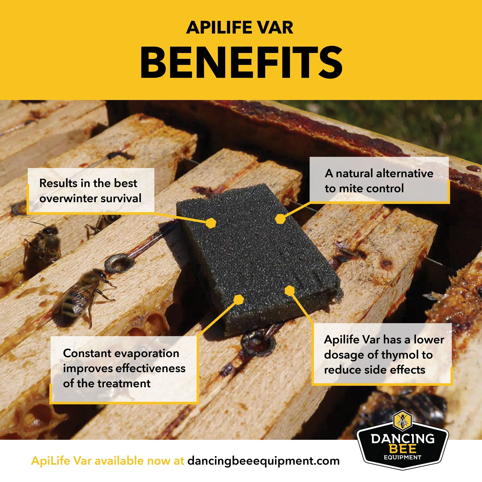 Api Life Var | Varroa Mite Control - Dancing Bee Equipment