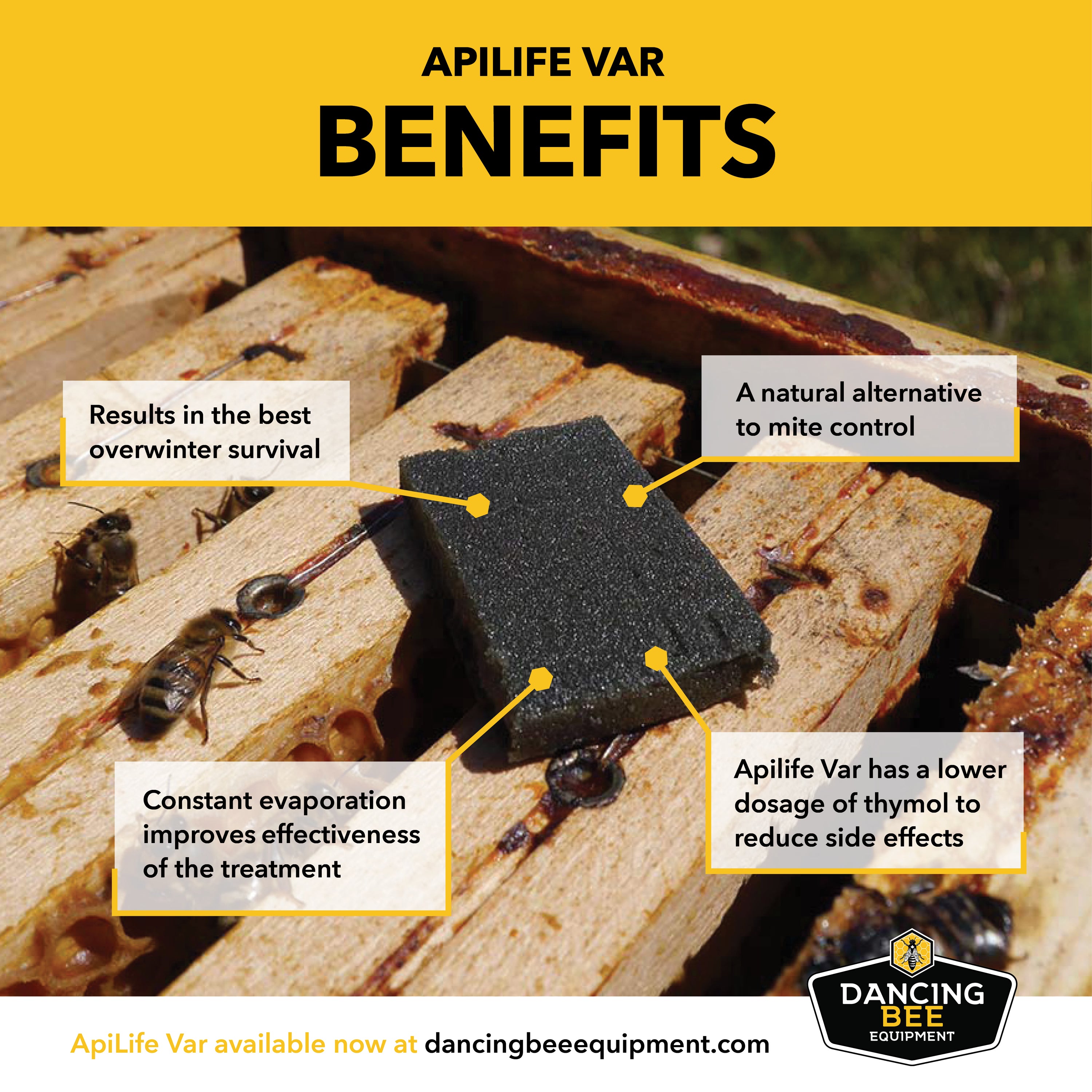 ApiLife Var — Dancing Bee Equipment