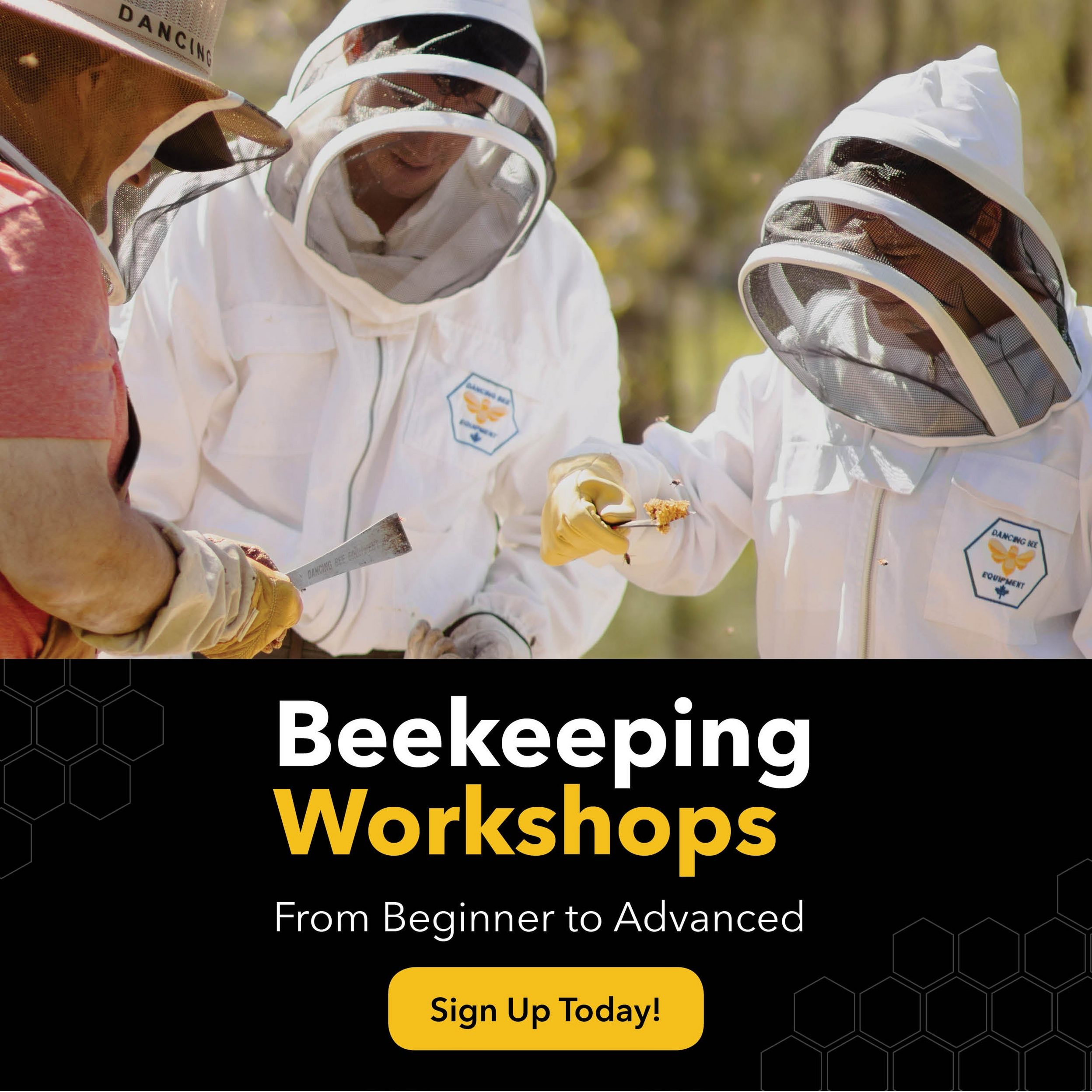 Beekeeping Supplies in BC | Bee Supplies for Sale — Dancing Bee Equipment