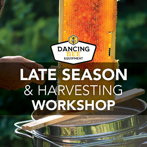 Educational Beekeeping Workshops - Beginners to Advanced - Dancing Bee ...
