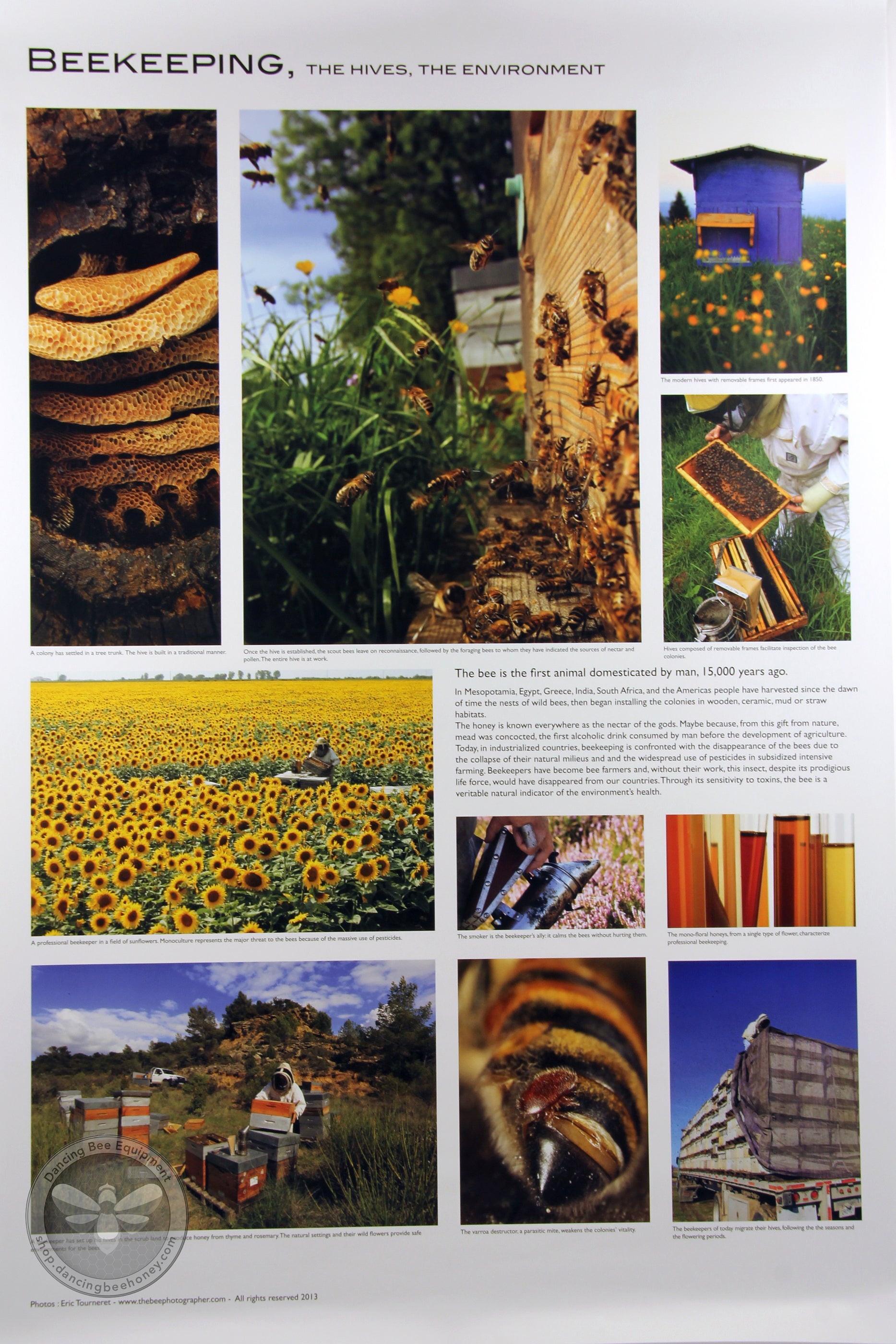 Beekeeping Poster | Set of 5 in Canada | Dancing Bee Equipment