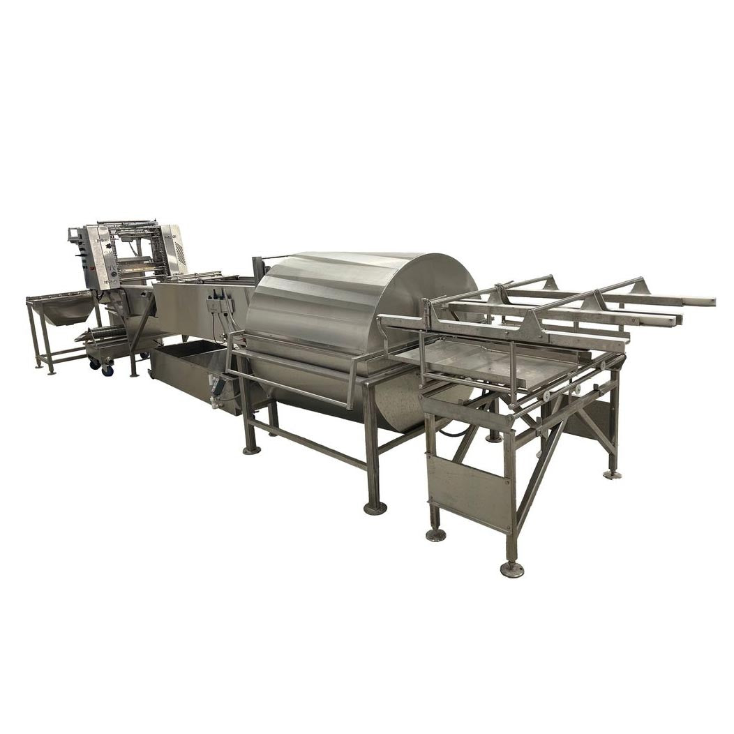 Sunnybee Extracting Lines | Dancing Bee Equipment